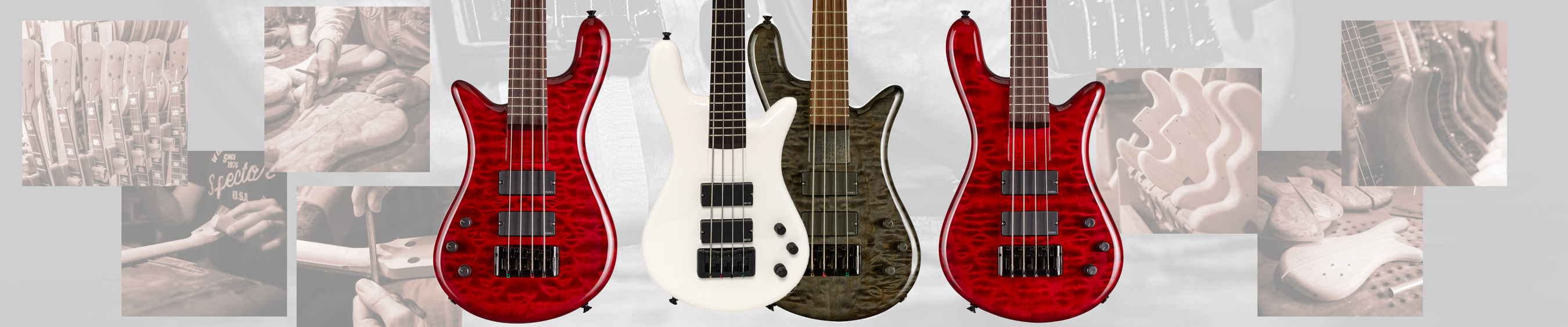 Spector Basses — Chuck Levin's Washington Music Center