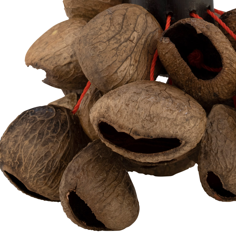 Pearl Pangi Nut Shaker with Bamboo Handle – Chuck Levin's Washington ...
