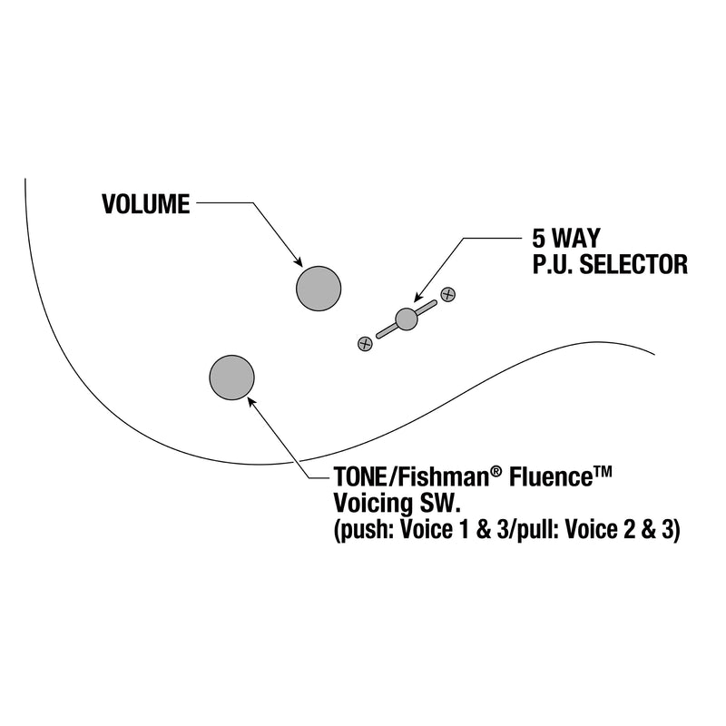 Ibanez BER10 Bernth Signature Electric Guitar - Black - Preorder ...