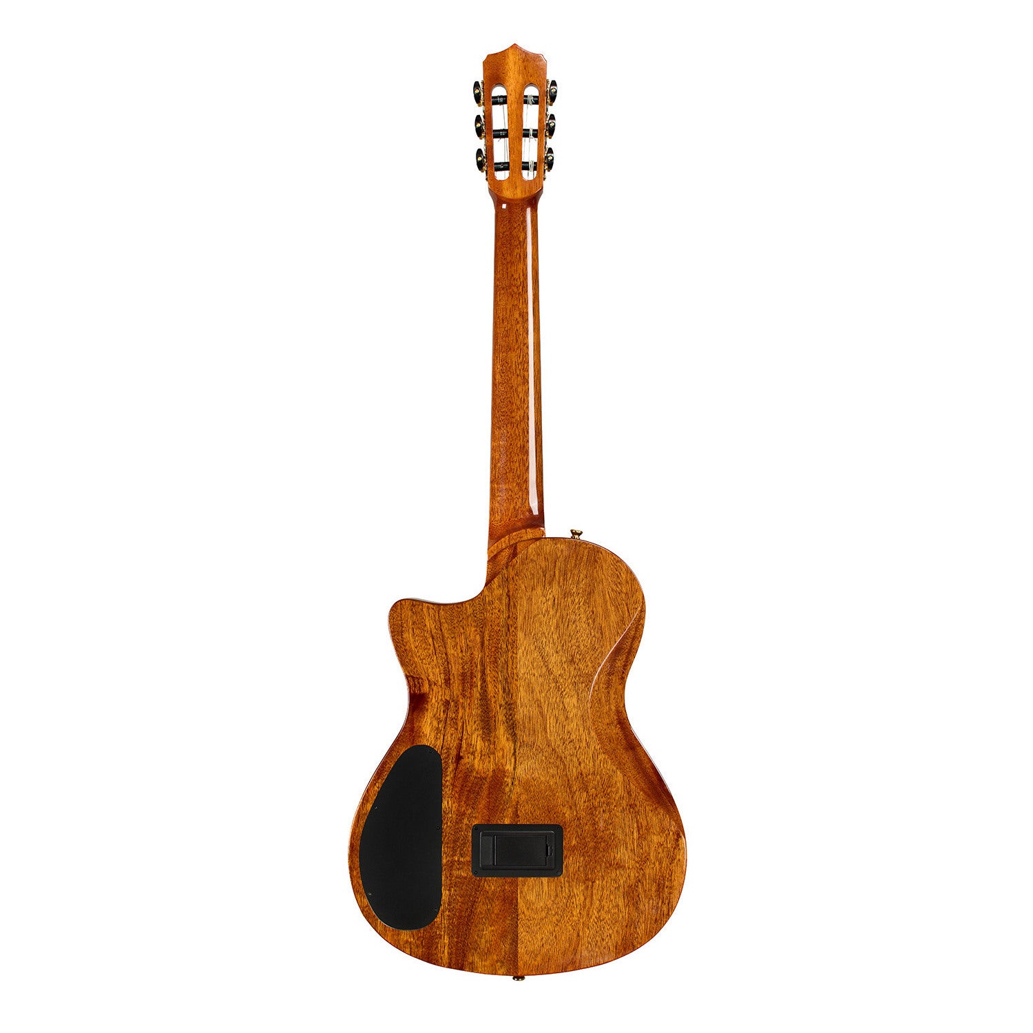 Cordoba Stage Artist Nylon String Acoustic Electric Guitar - Agave Bur ...
