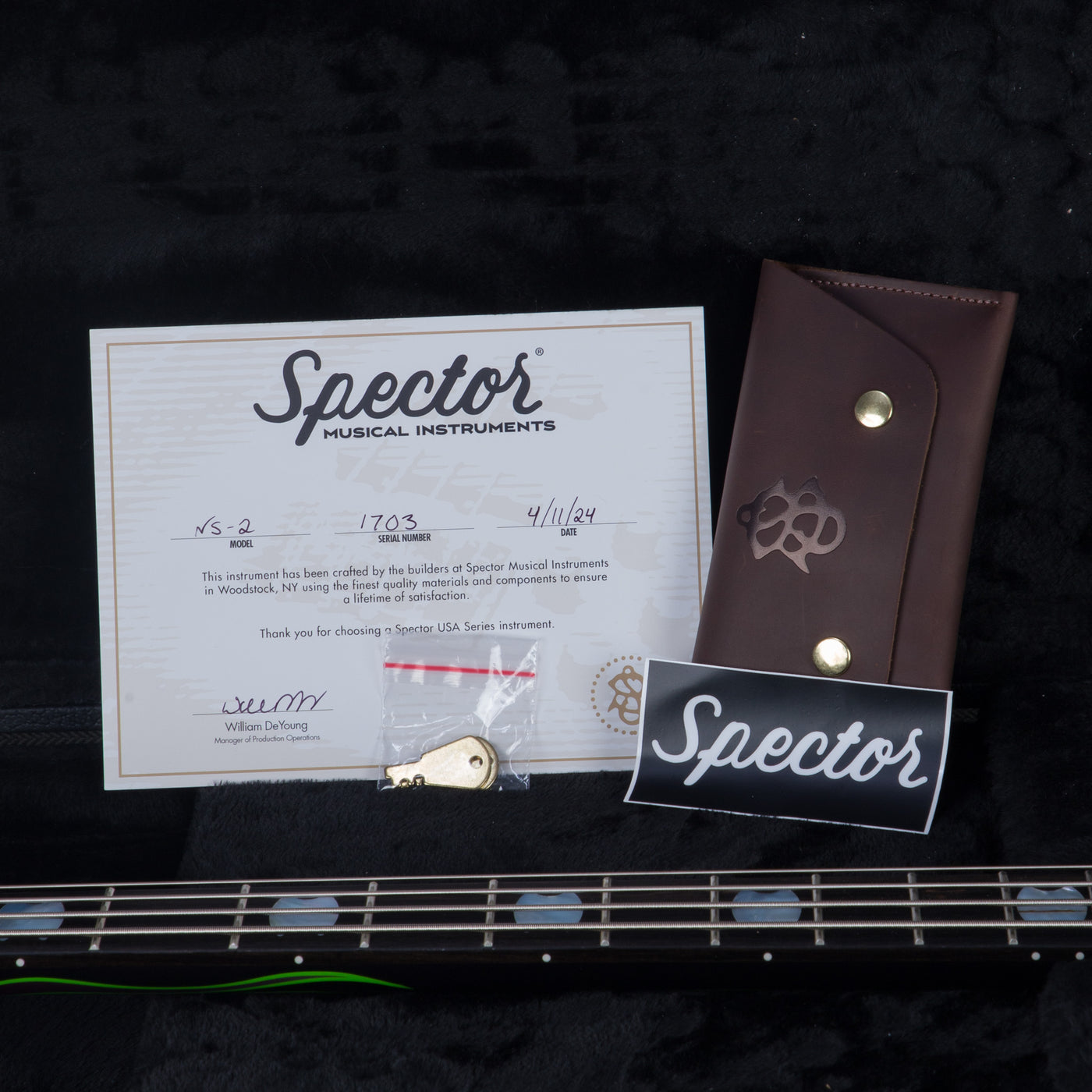 Spector USA Custom NS-2 Hot Rod Series Painted by Dan Lawrence Electri — Chuck Levin's ...